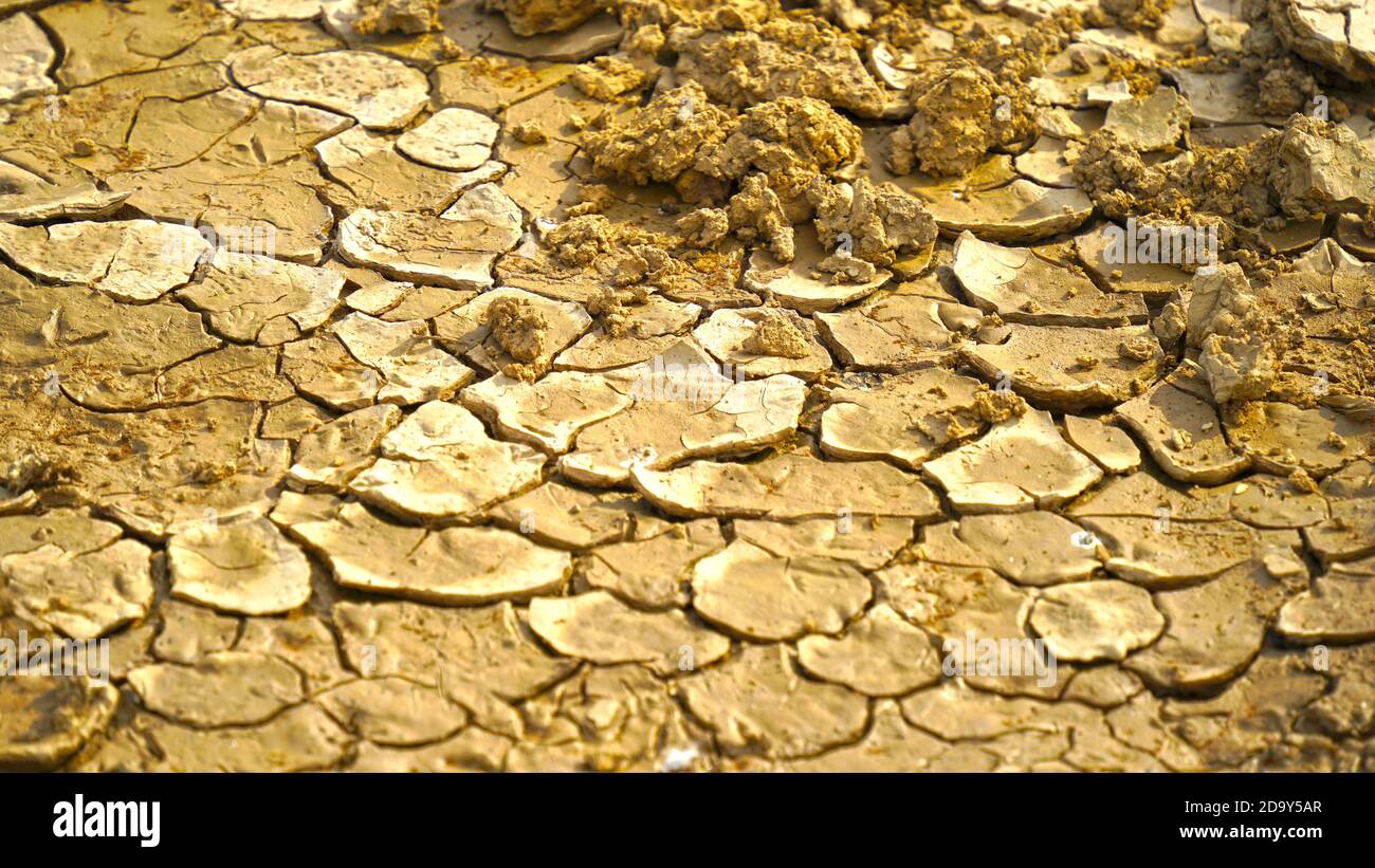 Close up view of cracked dried soil. Desiccation in soil, hard panic ...