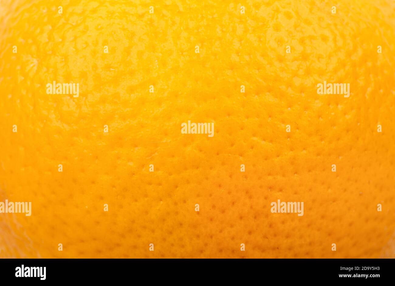 Macro shot of orange skin texture. Full frame of an unpeeled orange ...