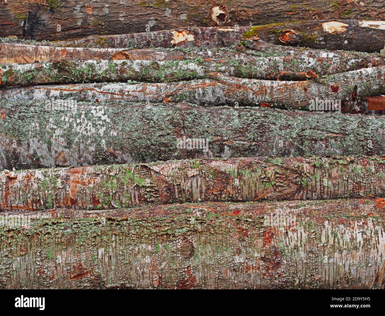 Wood timber pile, wooden lumber log background Stock Photo - Alamy
