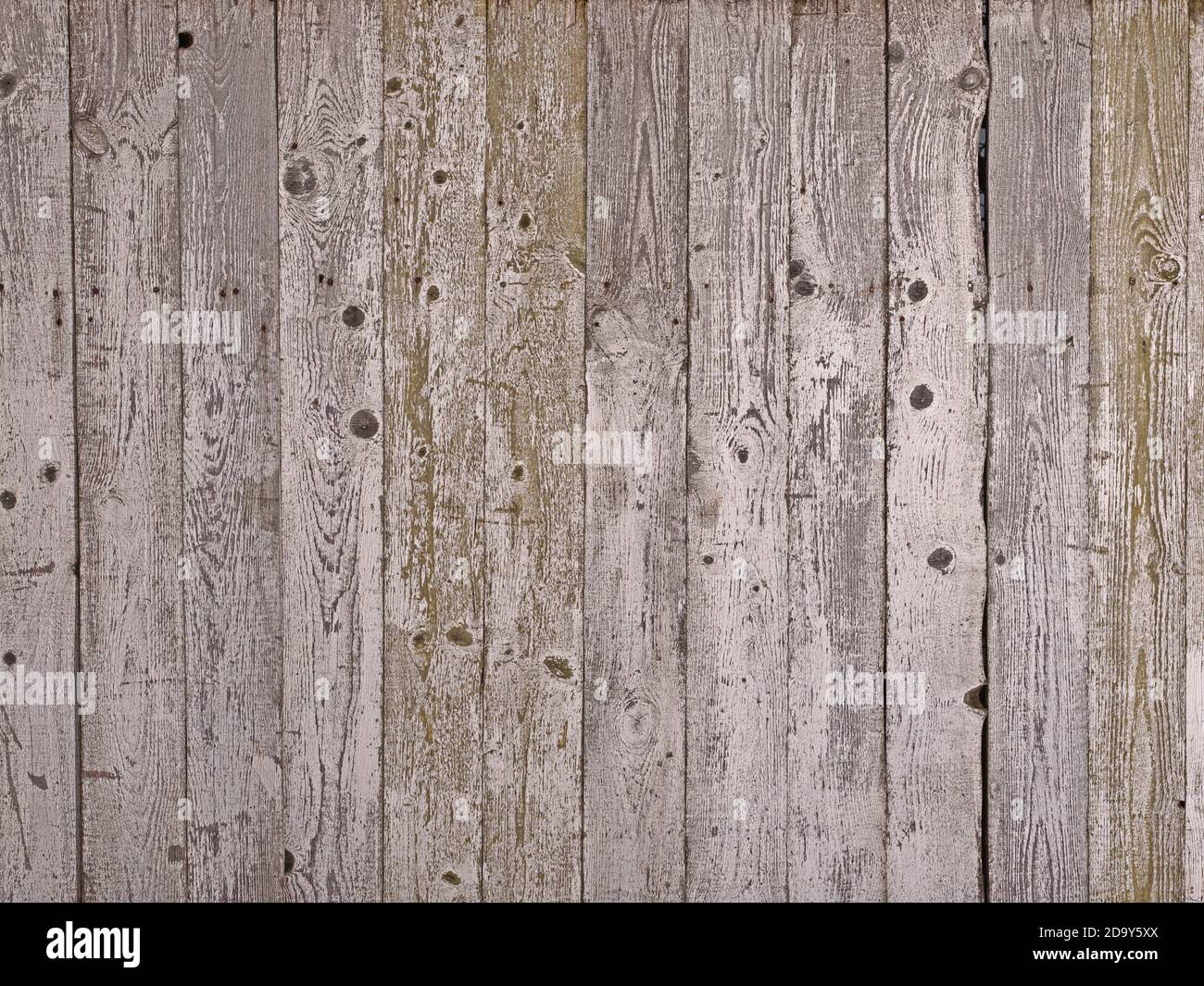 Old rough wood planks background, grain wooden texture Stock Photo - Alamy