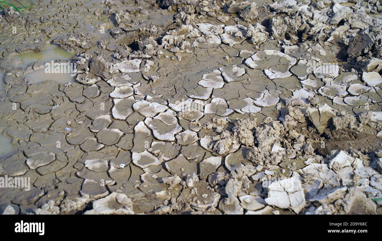 Close up view of cracked dried soil. Desiccation in soil, hard panic ...
