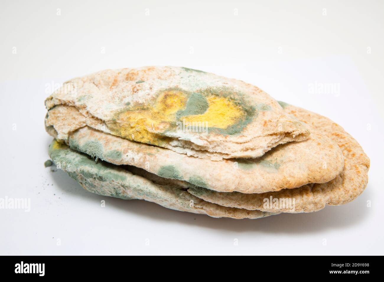 Pitta bread that has gone mouldy photographed on a white background ...