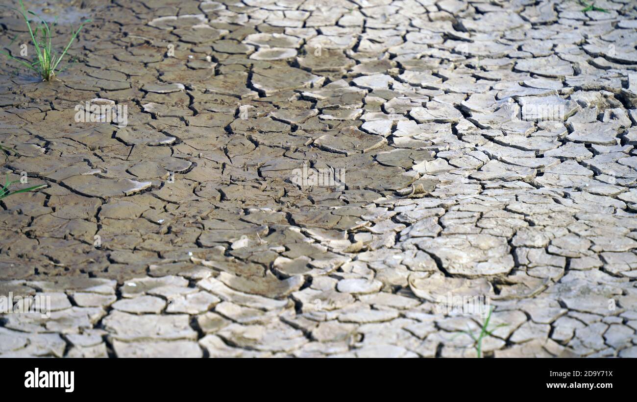 Close up view of cracked dried soil. Desiccation in soil, hard panic ...