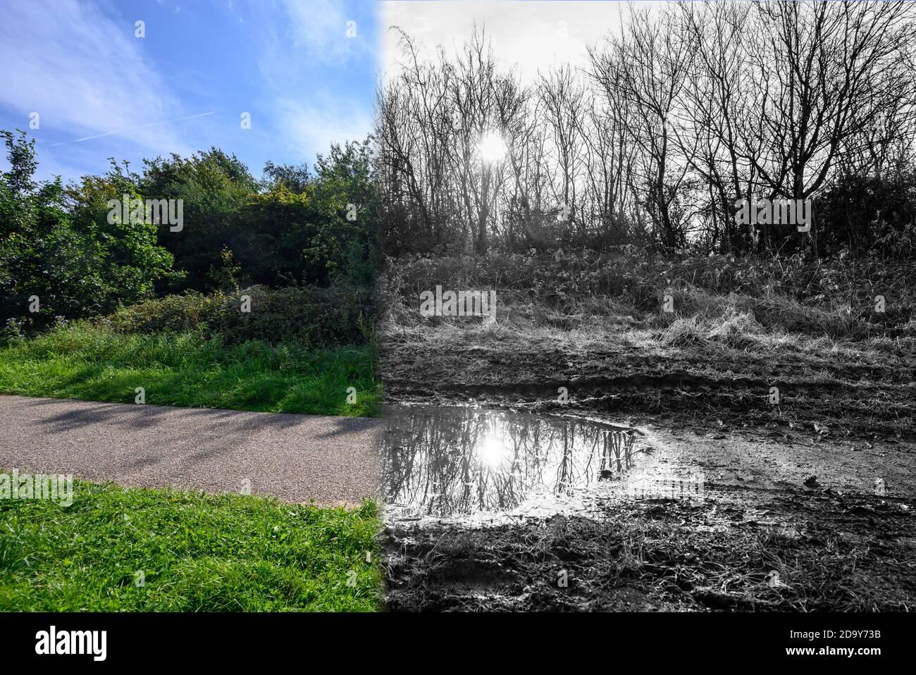 Bridgewater Canal Improvements, Boothstown Marina, Boothstown ...