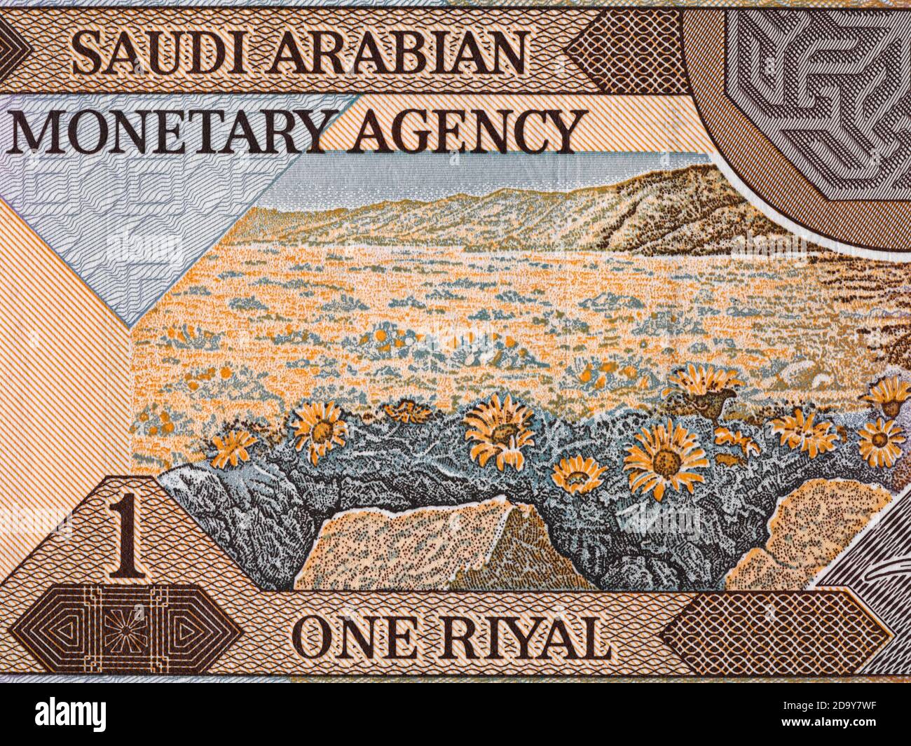 Saudi Arabia 1 riyal banknote reverse macro, natural scene with flowers ...