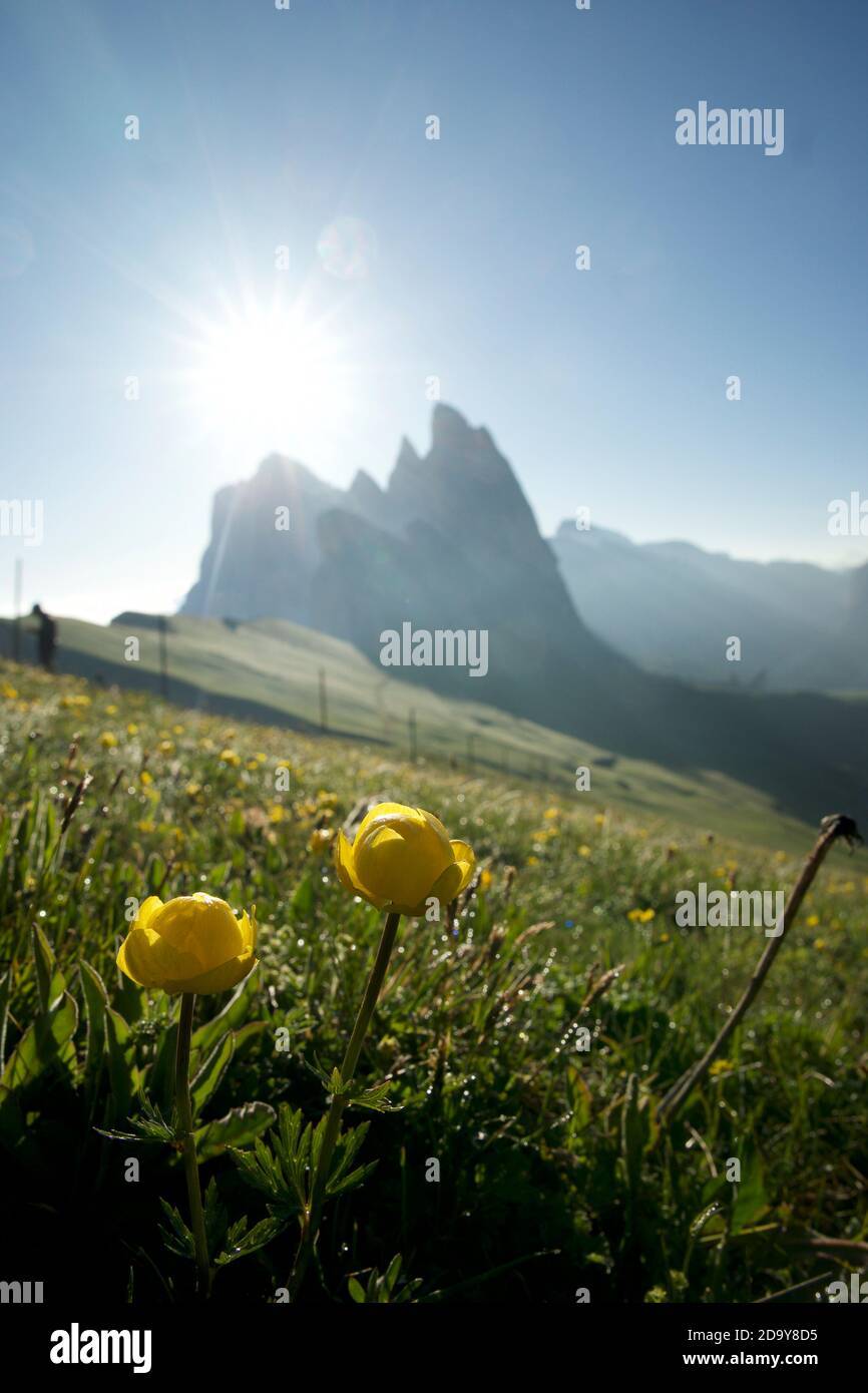 A beautiful landscape of Seceda mountains in Val Gardena, Italy Stock ...