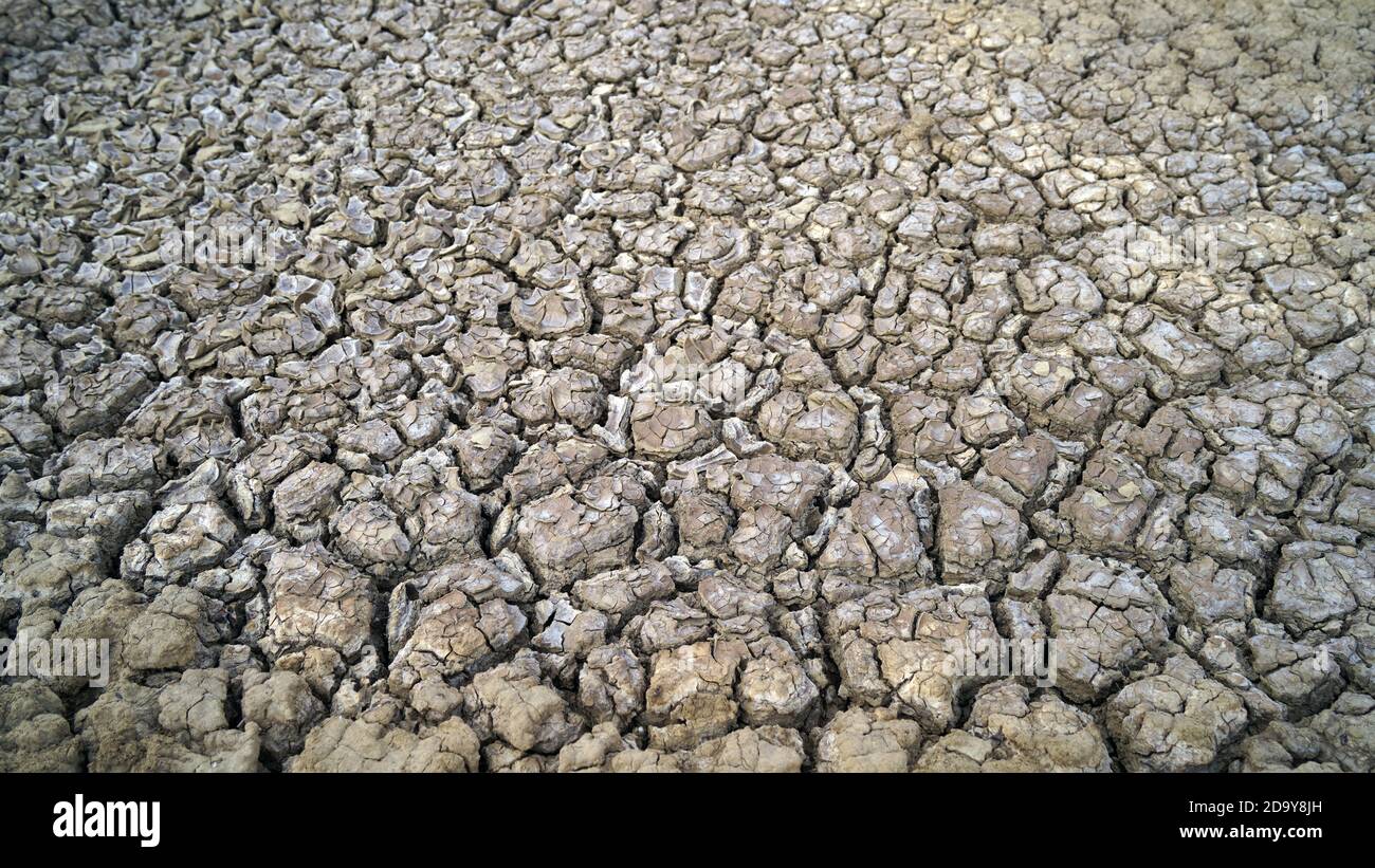 Close up view of cracked dried soil. Desiccation in soil, hard panic ...