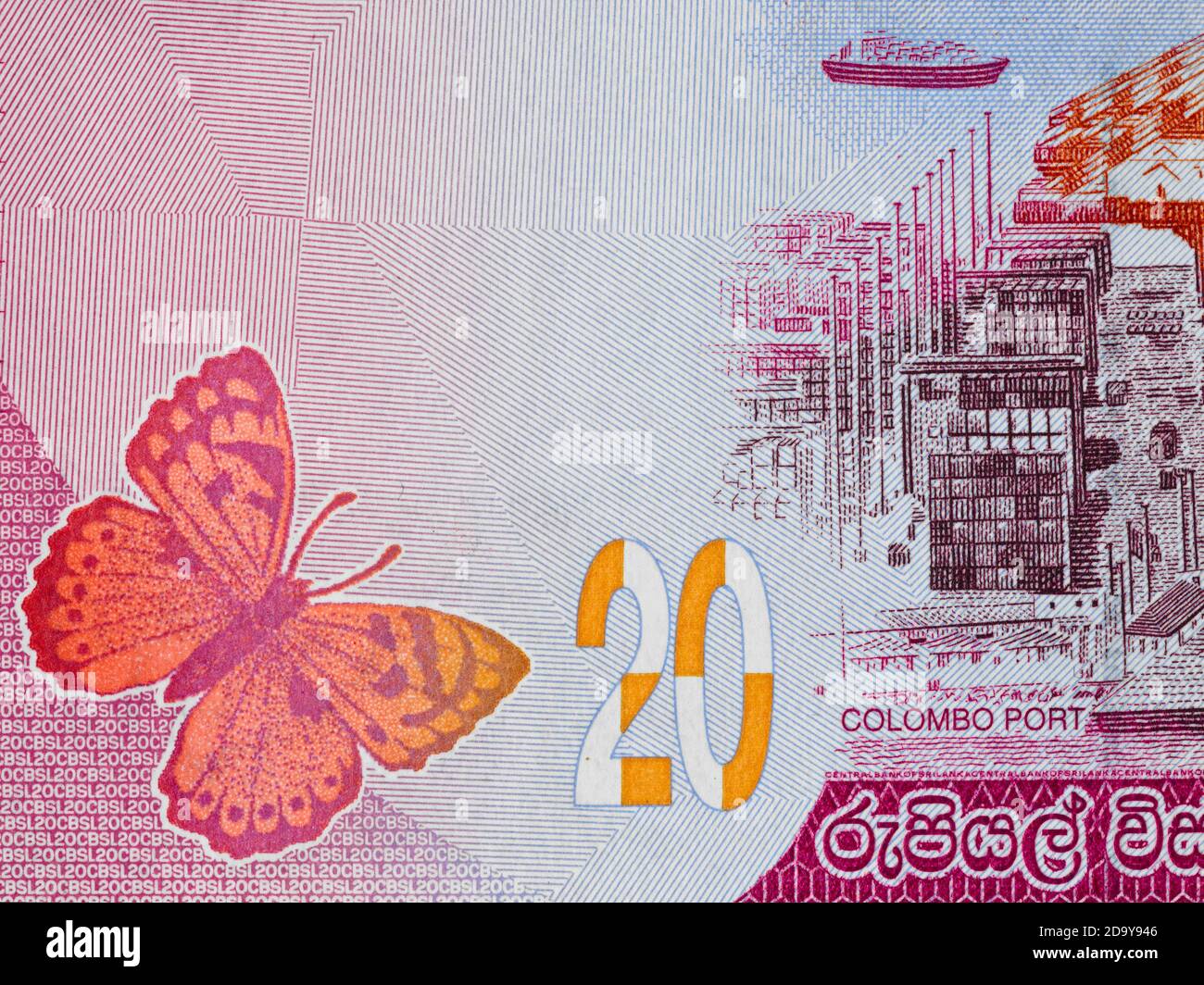 Sri Lankan currency 20 rupee banknote macro, butterflyl, 2010 series ...