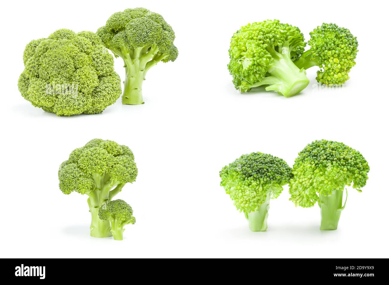 Collage of fresh green broccoli isolated on a white background with ...