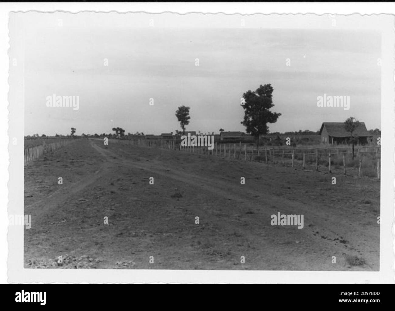 Neuland hi-res stock photography and images - Alamy