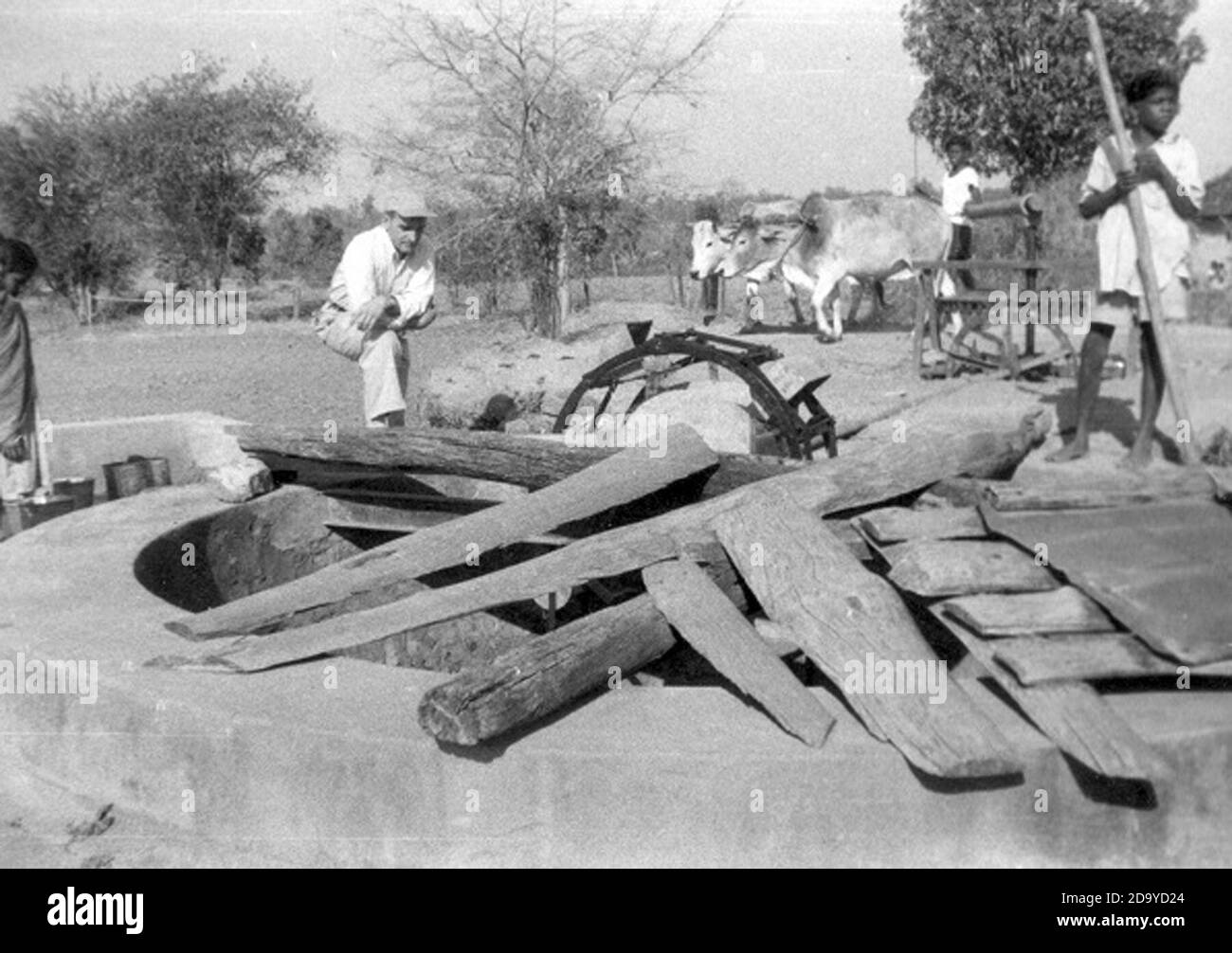 Persian wheel india hi-res stock photography and images - Alamy