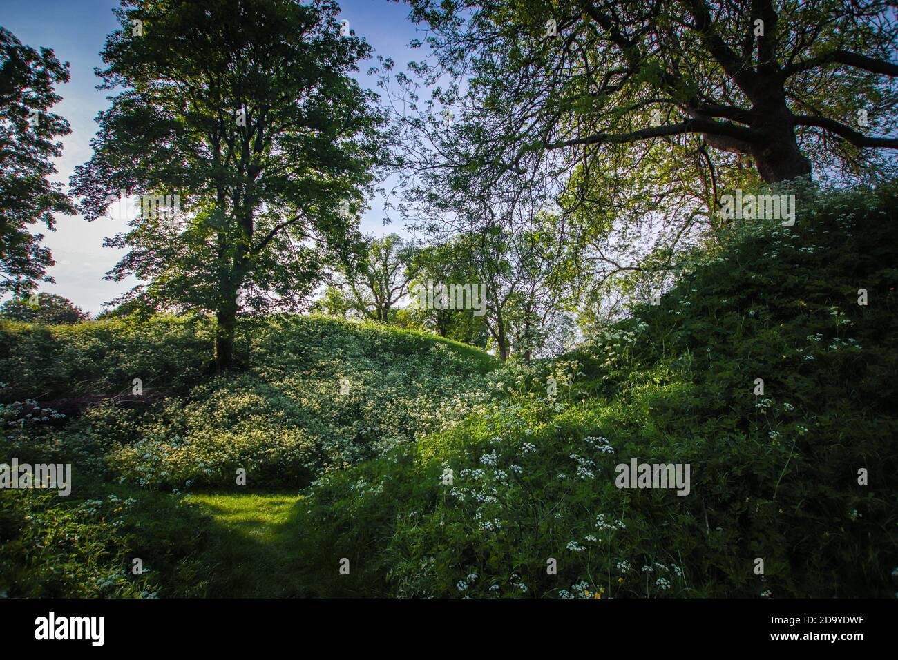 UK Summer Time - Nature Stock Photo - Alamy