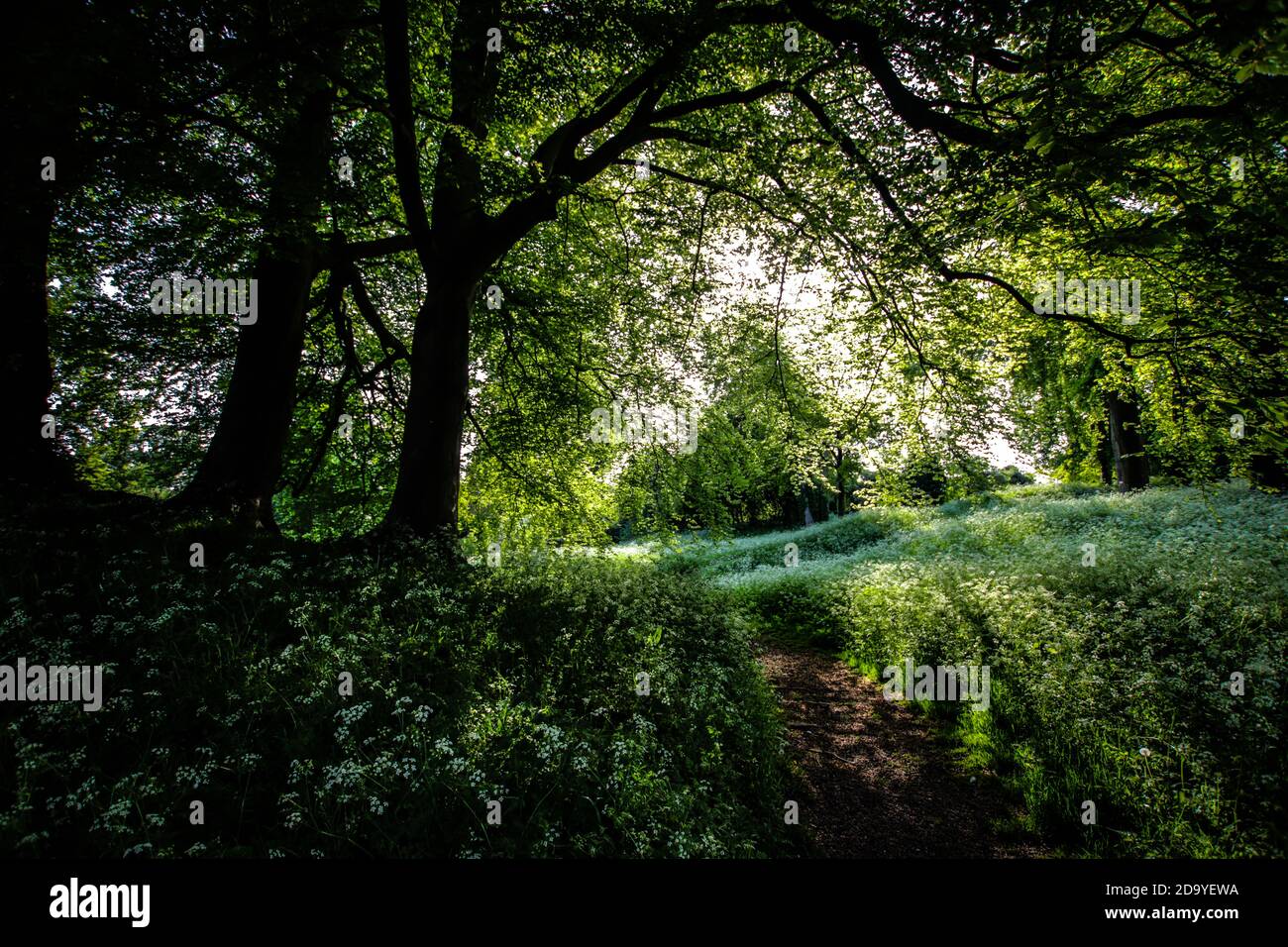 UK Summer Time - Nature Stock Photo - Alamy