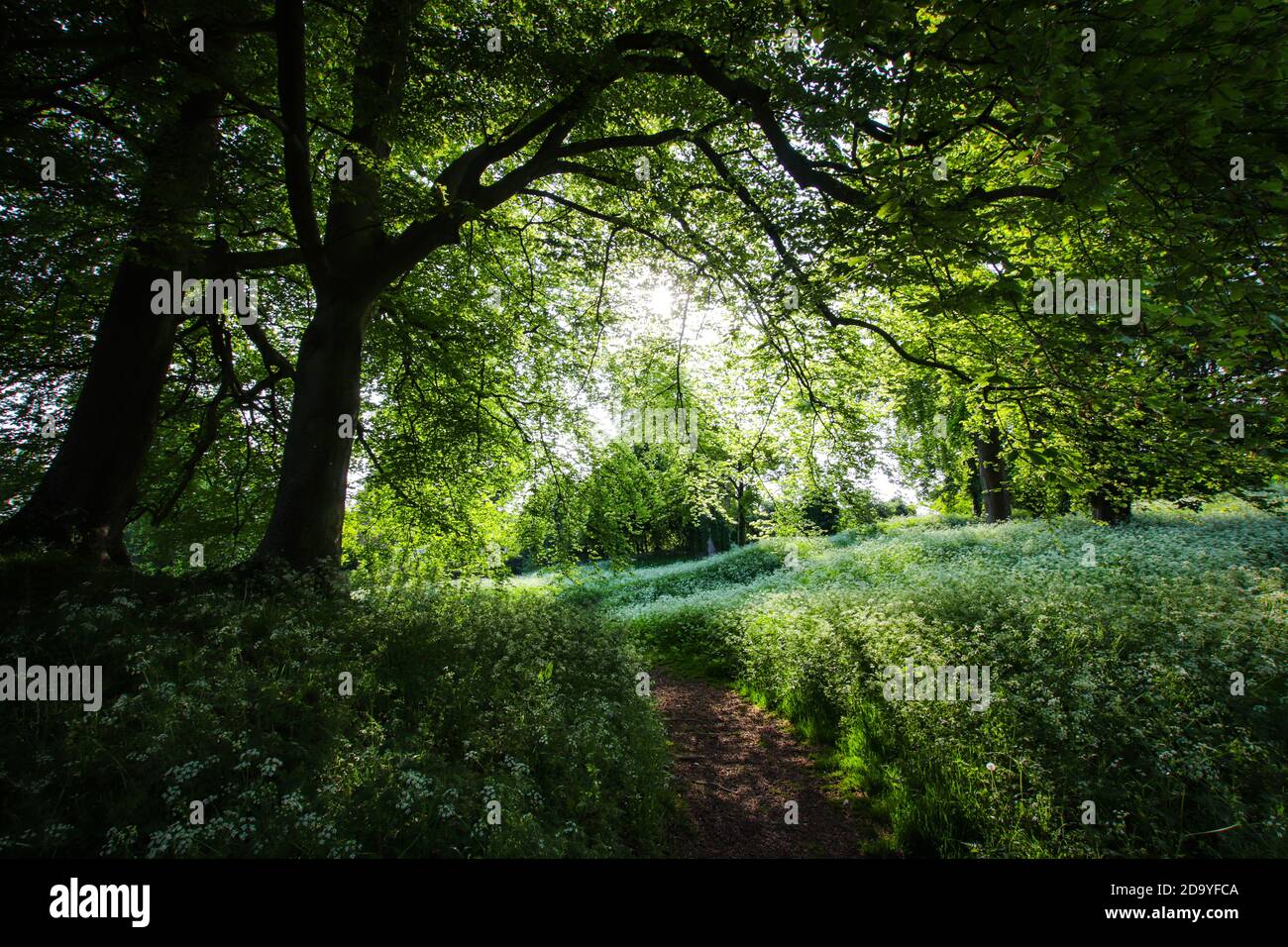UK Summer Time - Nature Stock Photo - Alamy