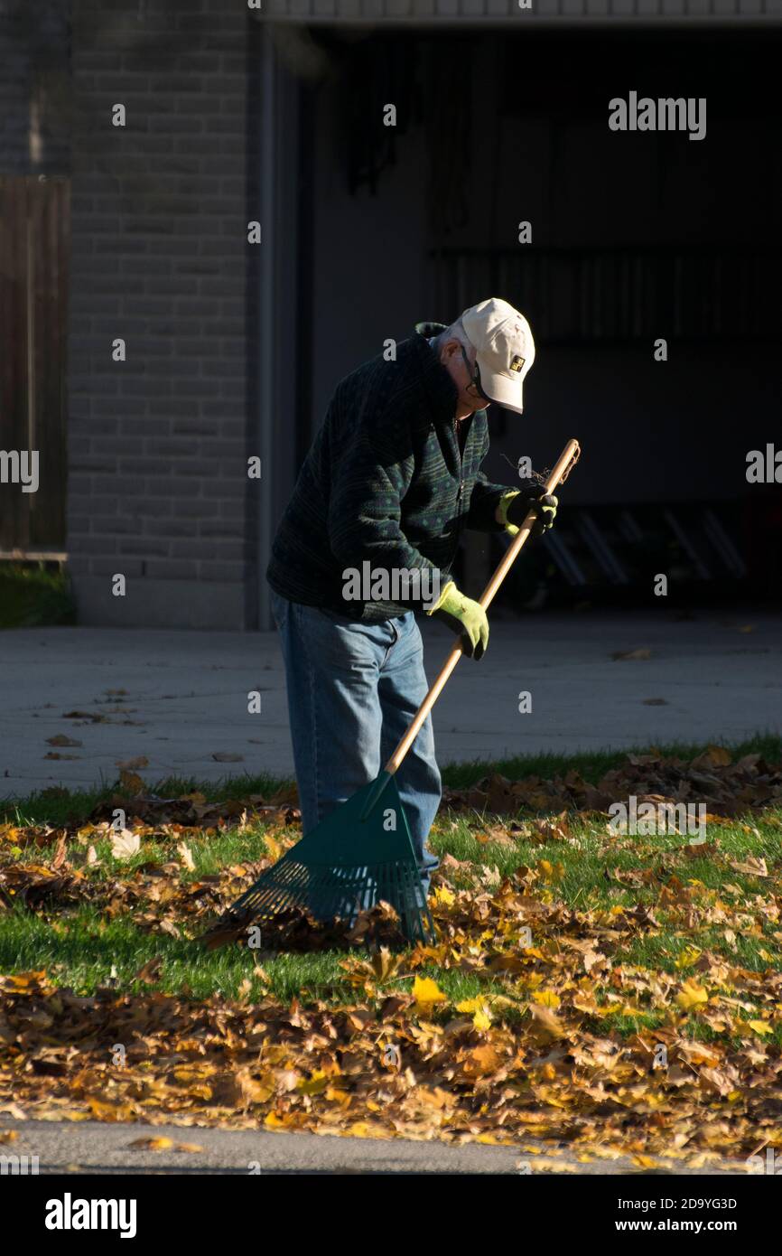 A man raking leaves hi-res stock photography and images - Alamy
