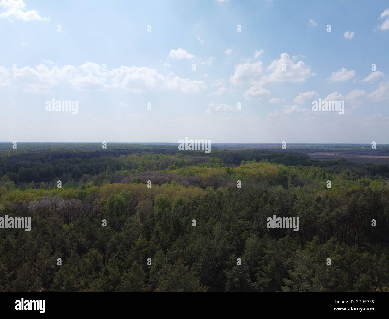 Blue cloudy skies over a dense forest, aerial view. Beautiful cloudy ...
