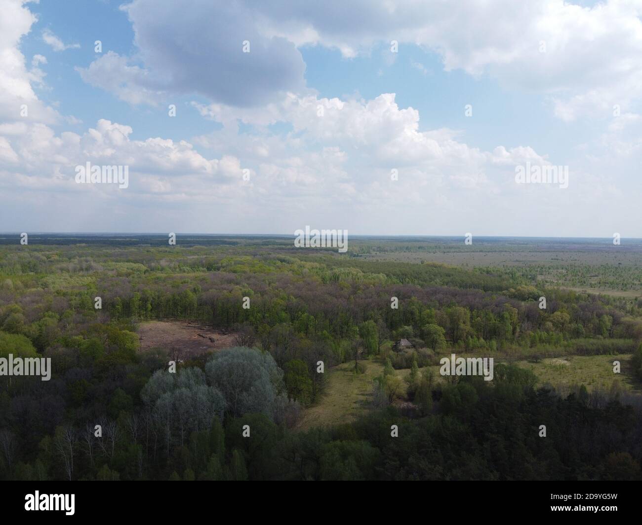 A place of felling, aerial view. Devastated land, clearing Stock Photo ...
