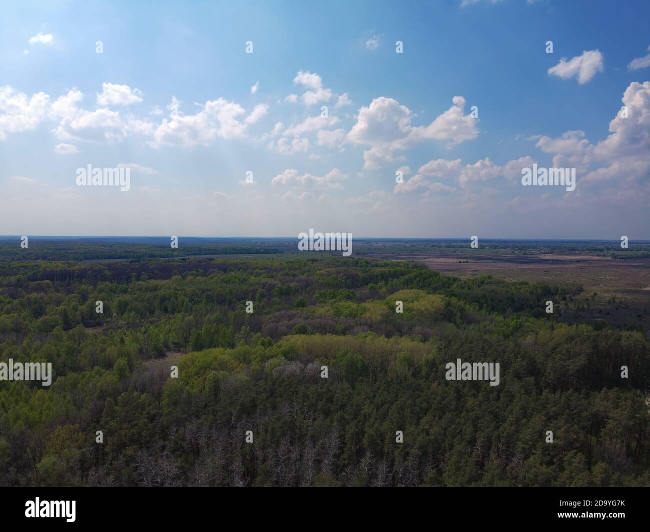 Forest copter view hi-res stock photography and images - Alamy