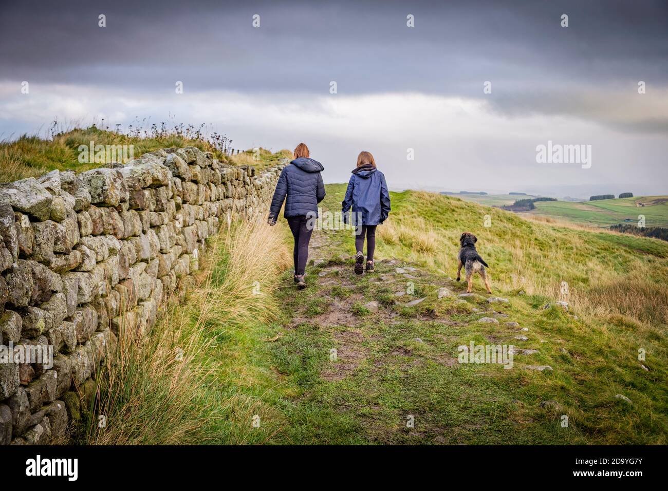 Hadrians Wall, Near Housesteads Roman Fort, Northumberland, UK Stock ...