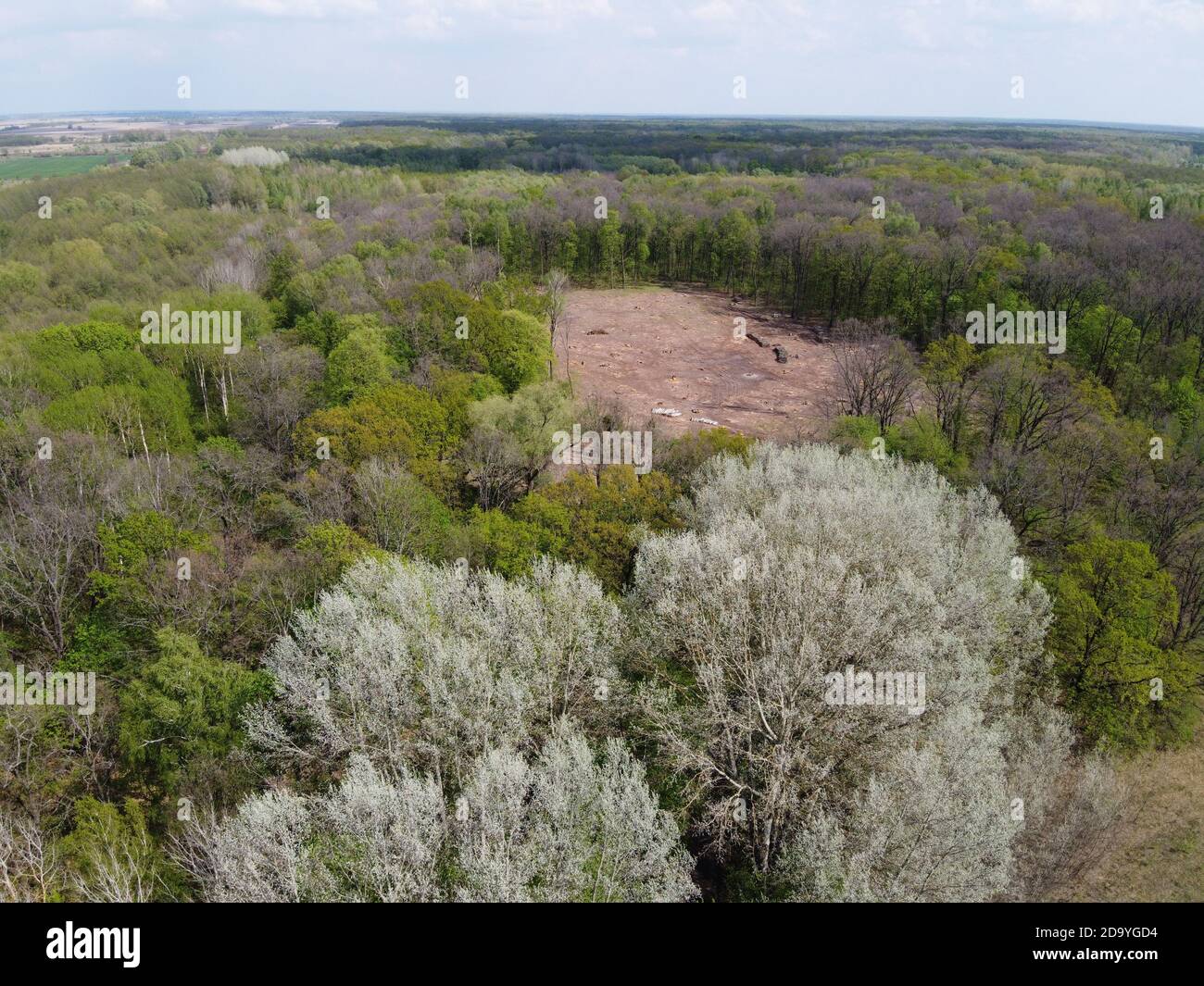 A place of felling, aerial view. Devastated land, clearing Stock Photo ...