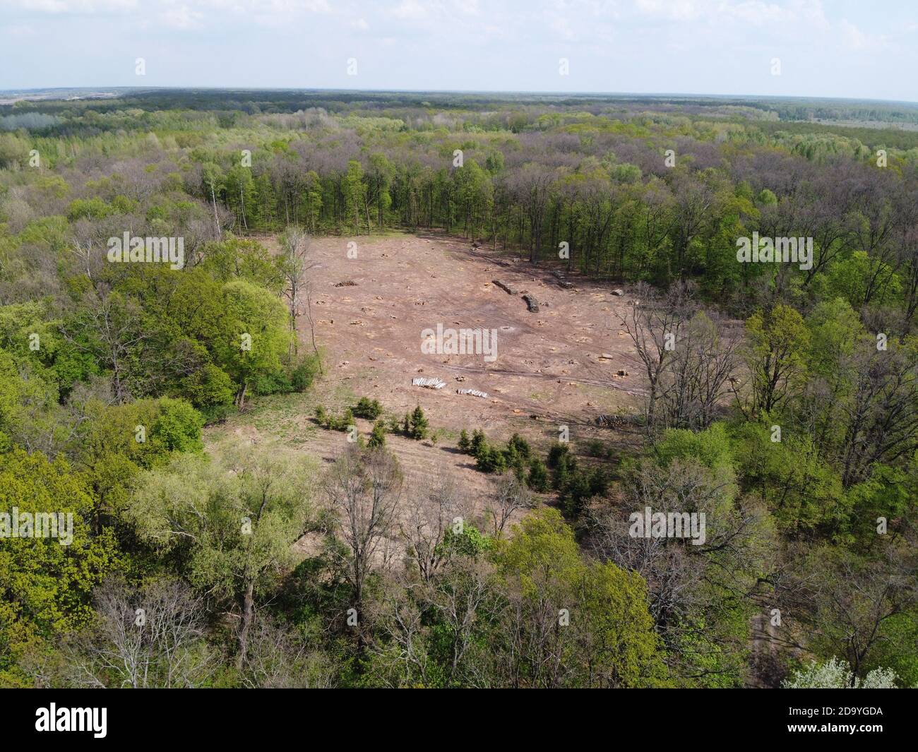 Land clearing hi-res stock photography and images - Alamy
