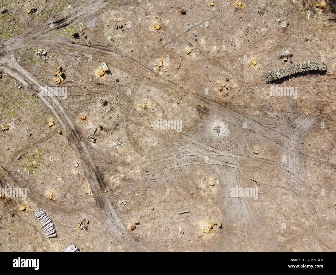 Logging place, aerial view. Devastated land. Felled forest Stock Photo ...