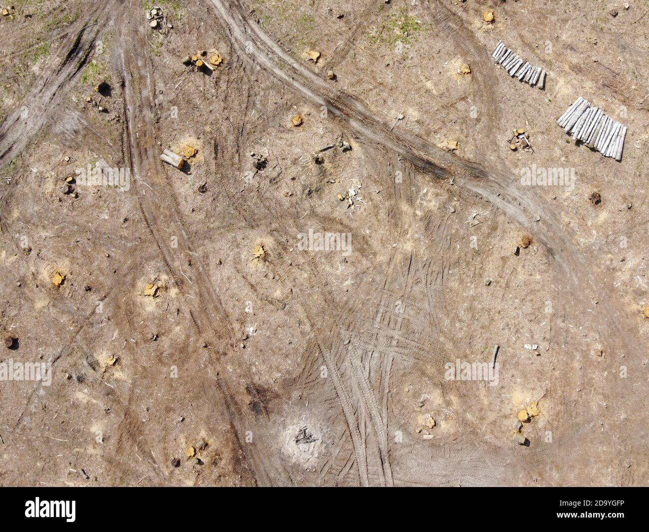 Logging place, aerial view. Devastated land. Felled forest Stock Photo ...