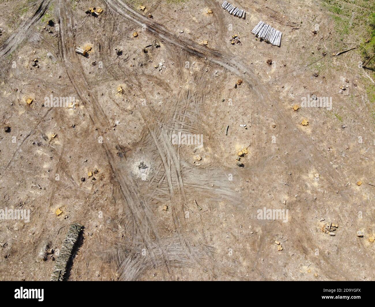 Logging place, aerial view. Devastated land. Felled forest Stock Photo ...