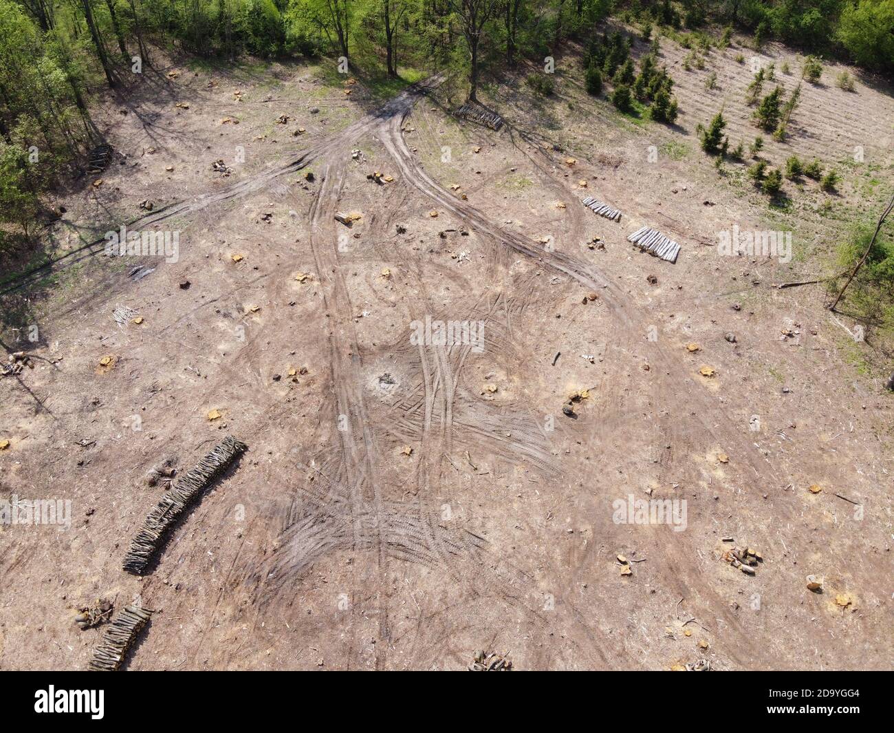 Aerial view forest logging site hi-res stock photography and images - Alamy