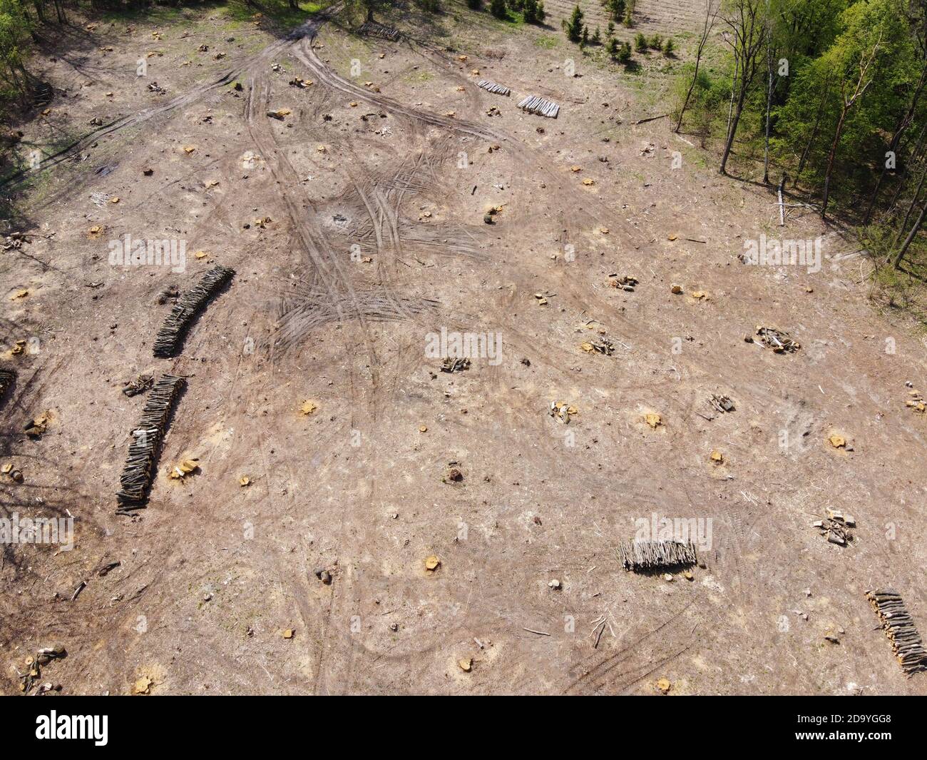 Aerial view forest logging site hi-res stock photography and images - Alamy