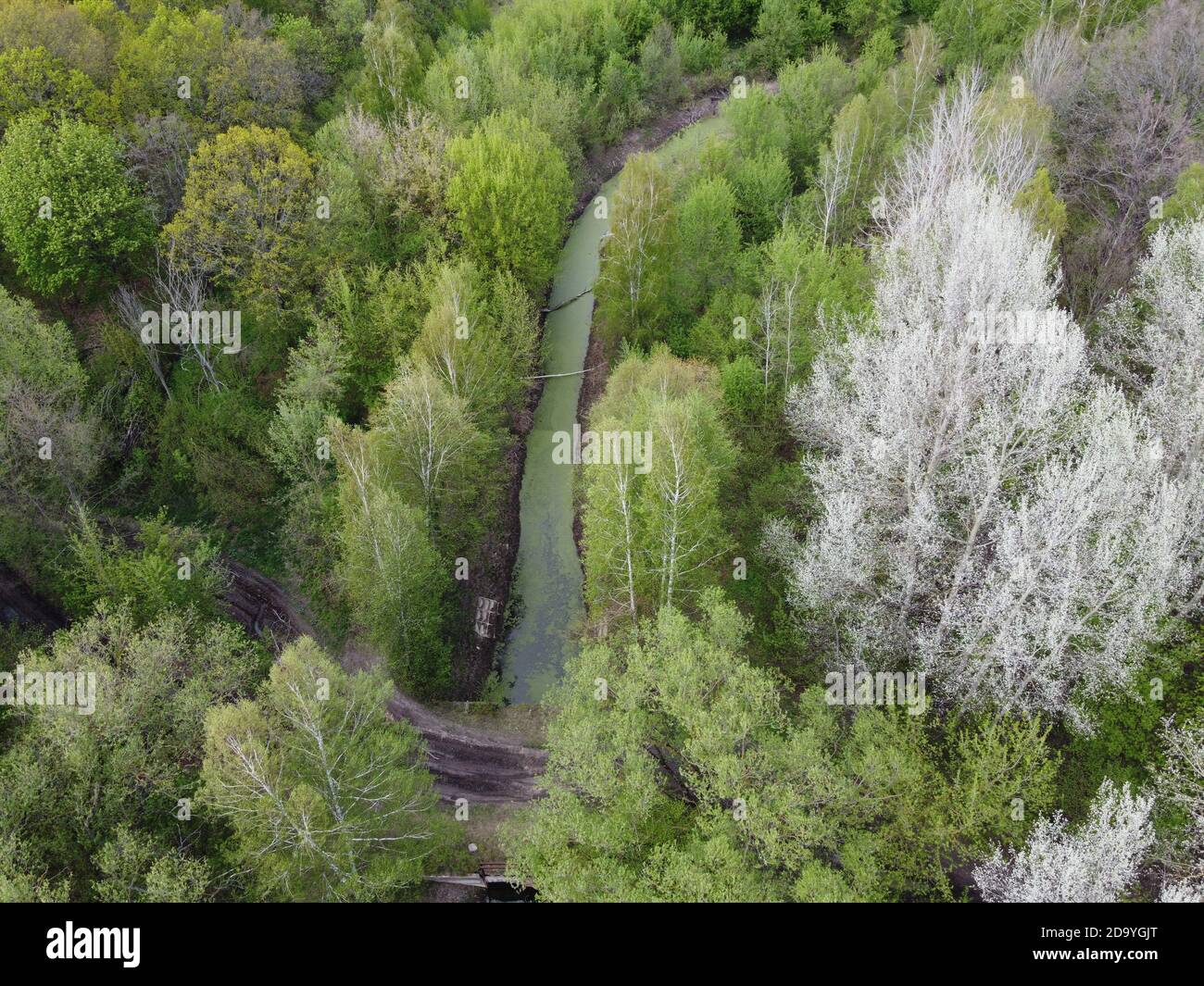 Shot river spring in forest hi-res stock photography and images - Alamy