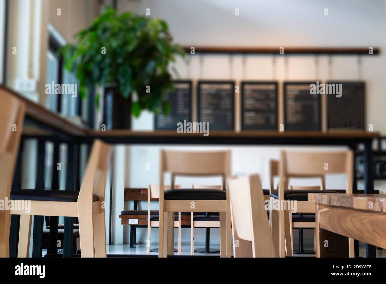 Cafe interior environment with green plant, stock photo Stock Photo - Alamy