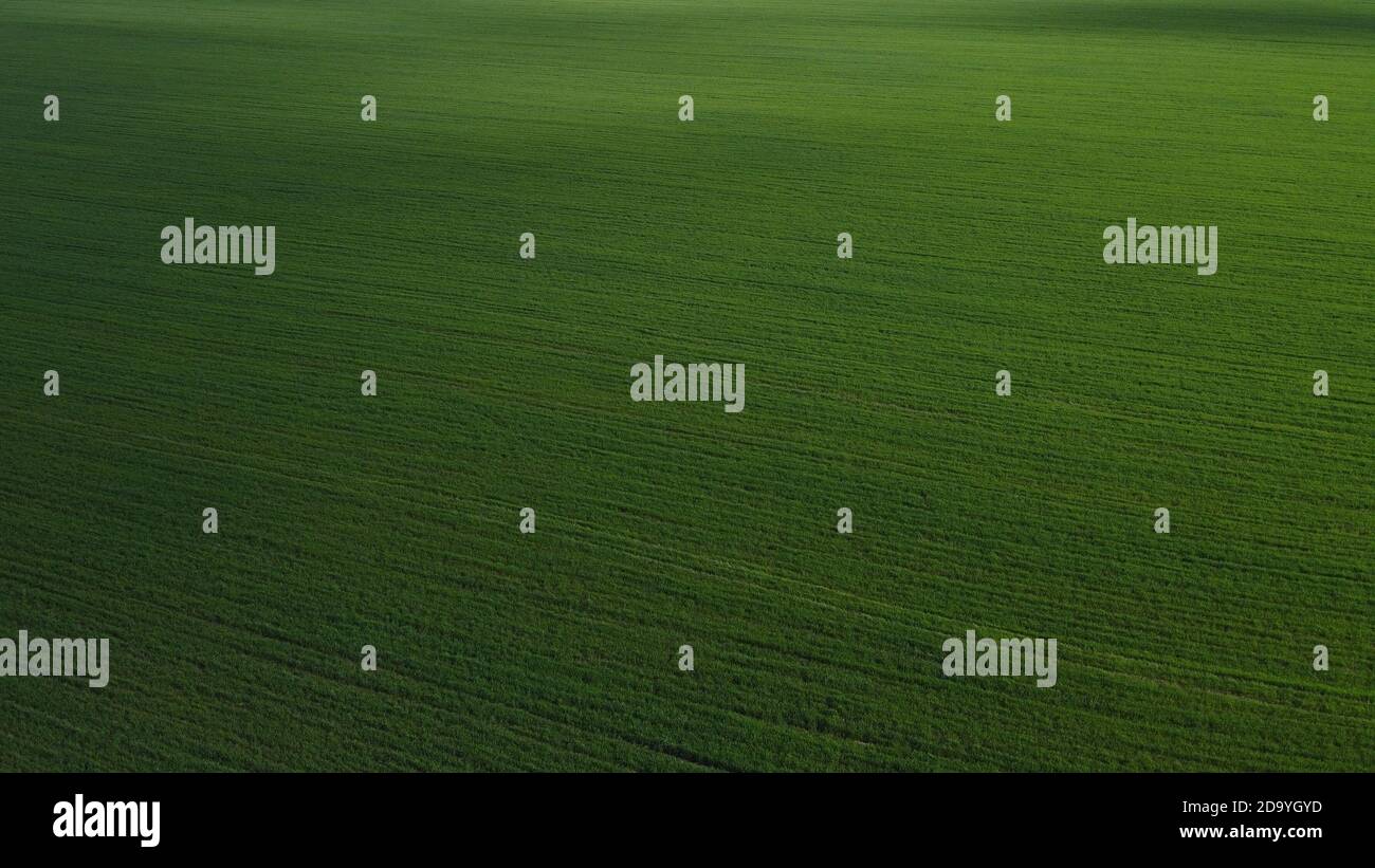 Green agricultural field aerial hi-res stock photography and images - Alamy