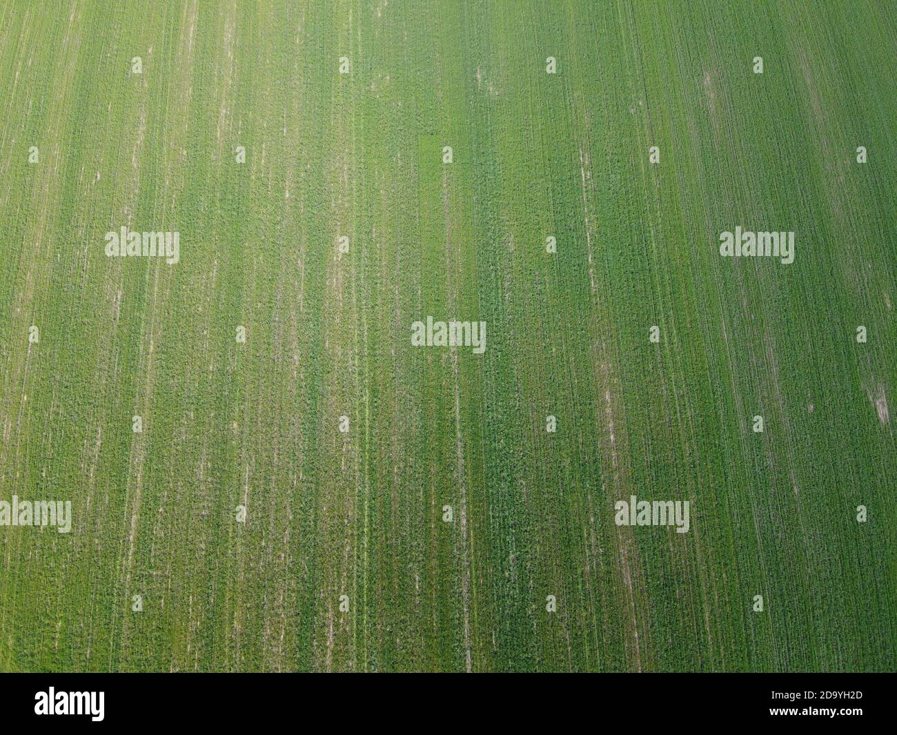 Aerial copter shot green field hi-res stock photography and images - Alamy