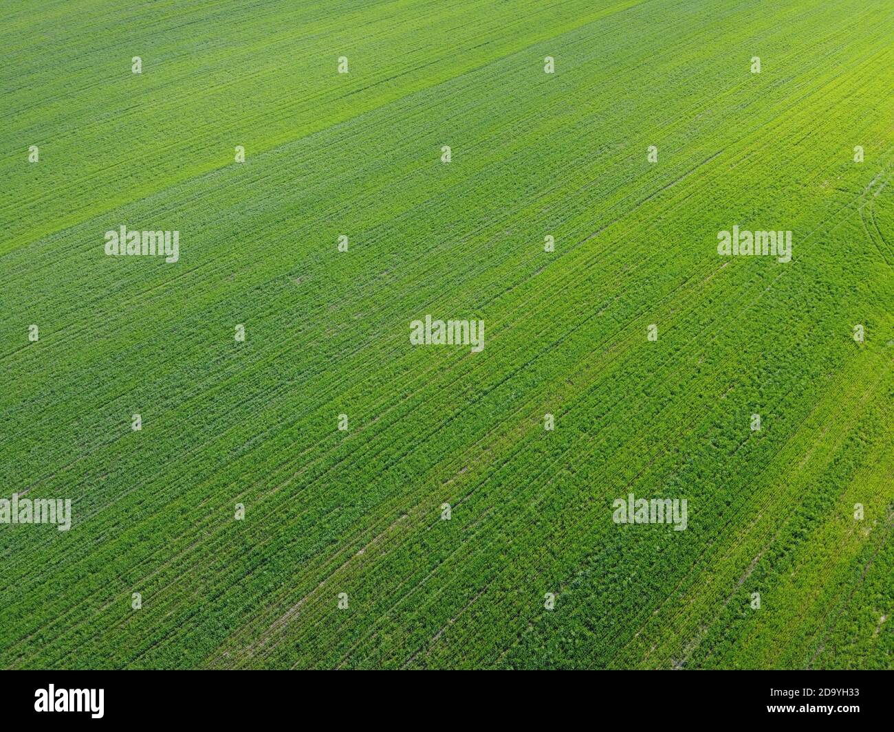 Aerial copter shot green field hi-res stock photography and images - Alamy