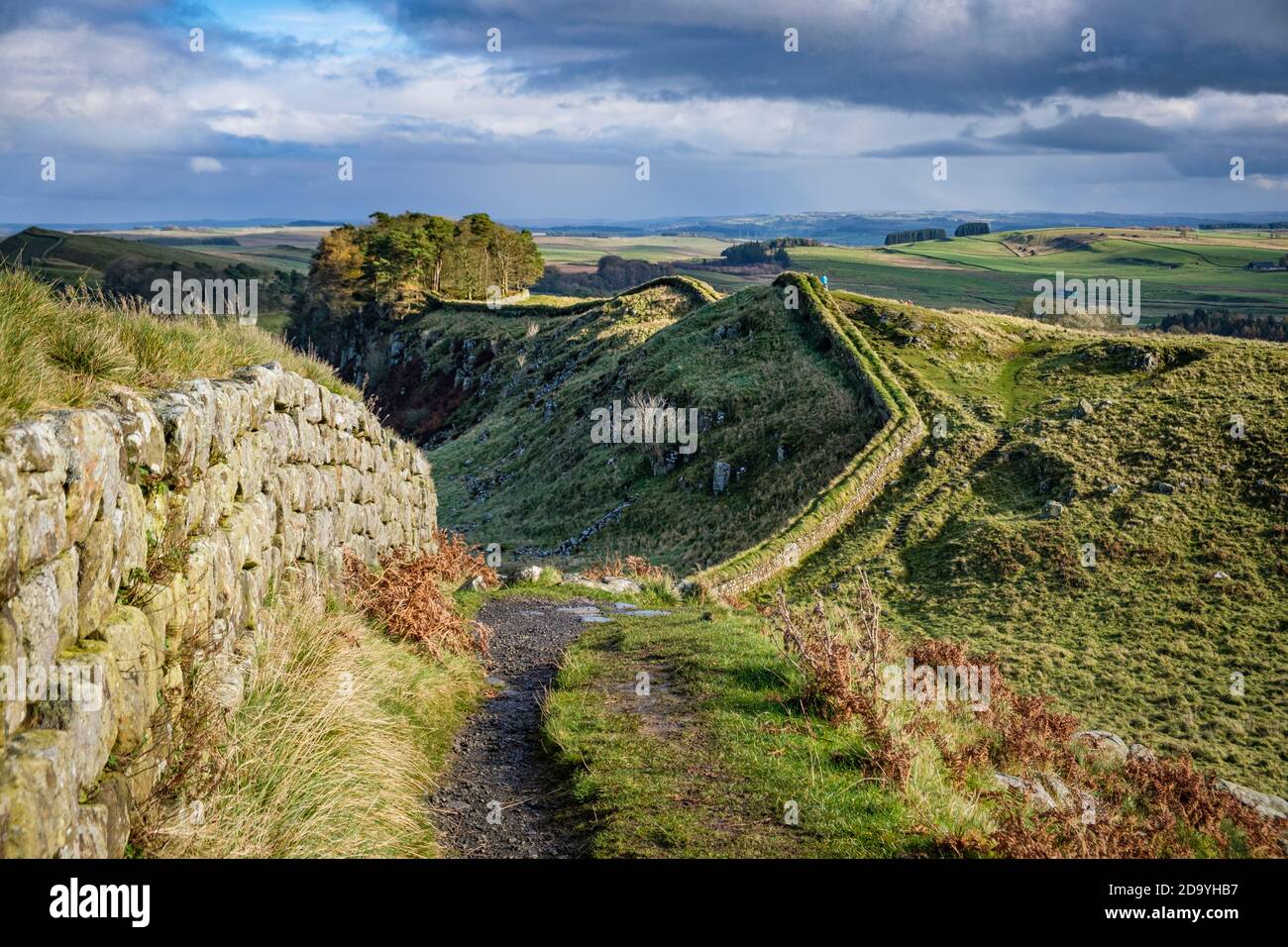 Hadrians Wall, Near Housesteads Roman Fort, Northumberland, UK Stock ...