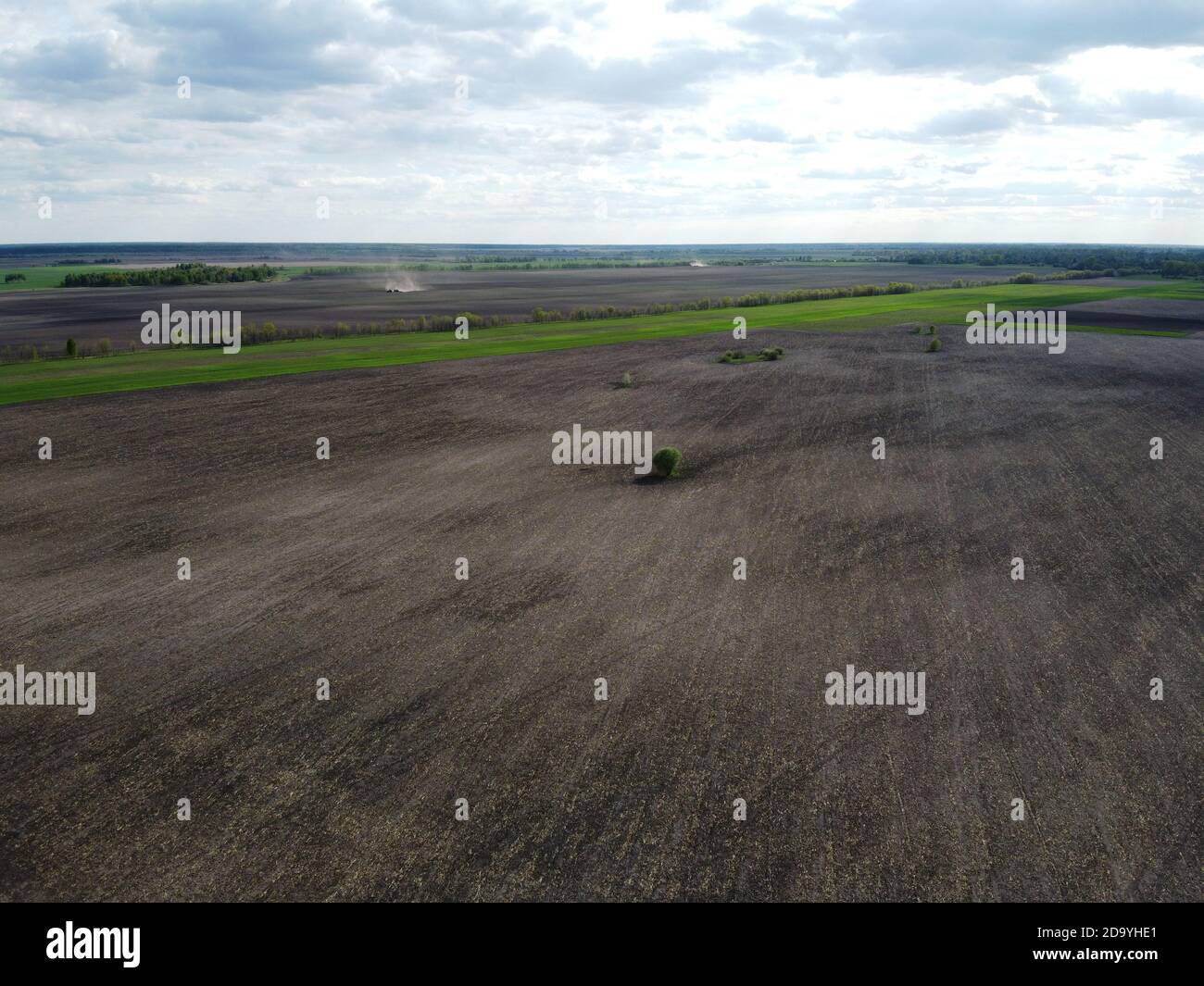 Small trees in the middle of arable fields, aerial view. Agricultural ...