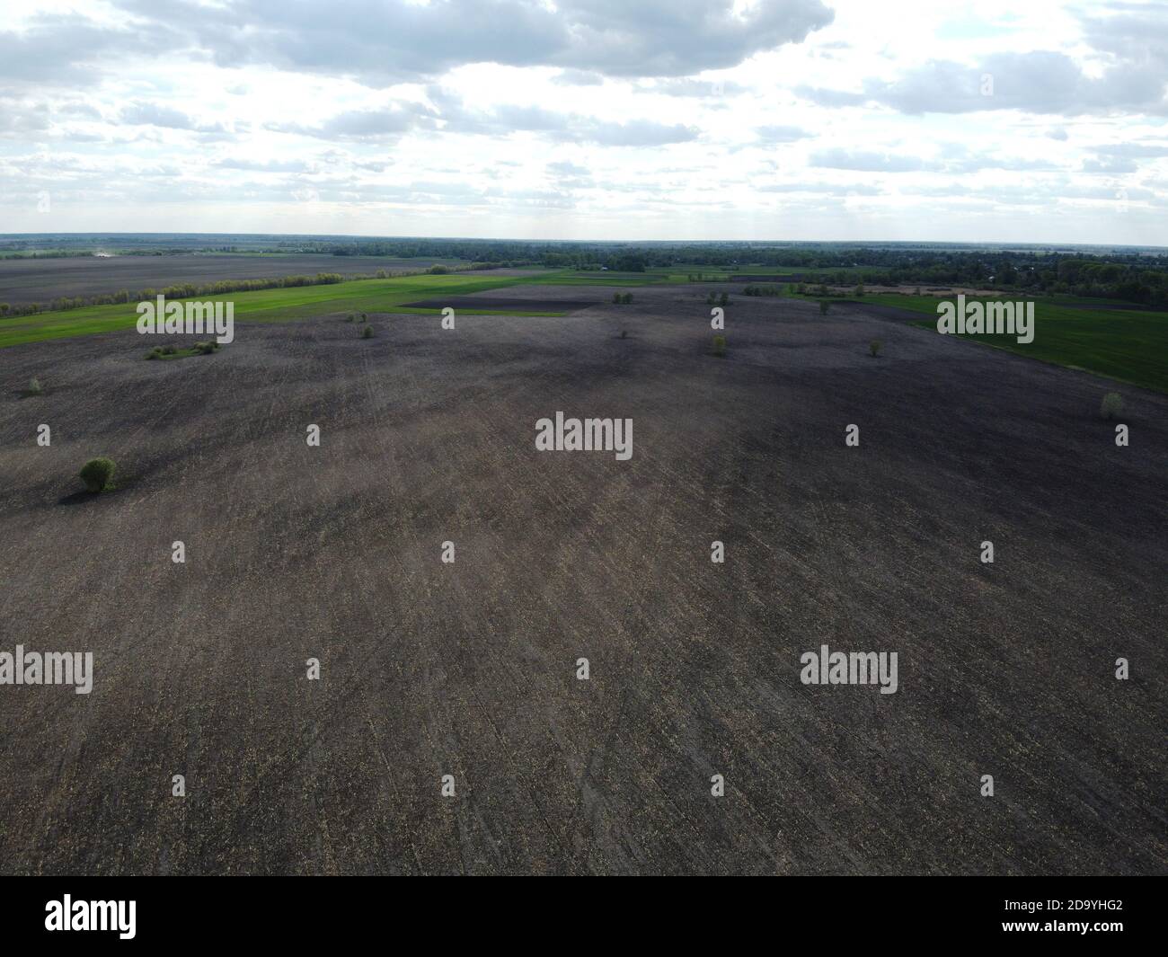 Small trees in the middle of arable fields, aerial view. Agricultural ...