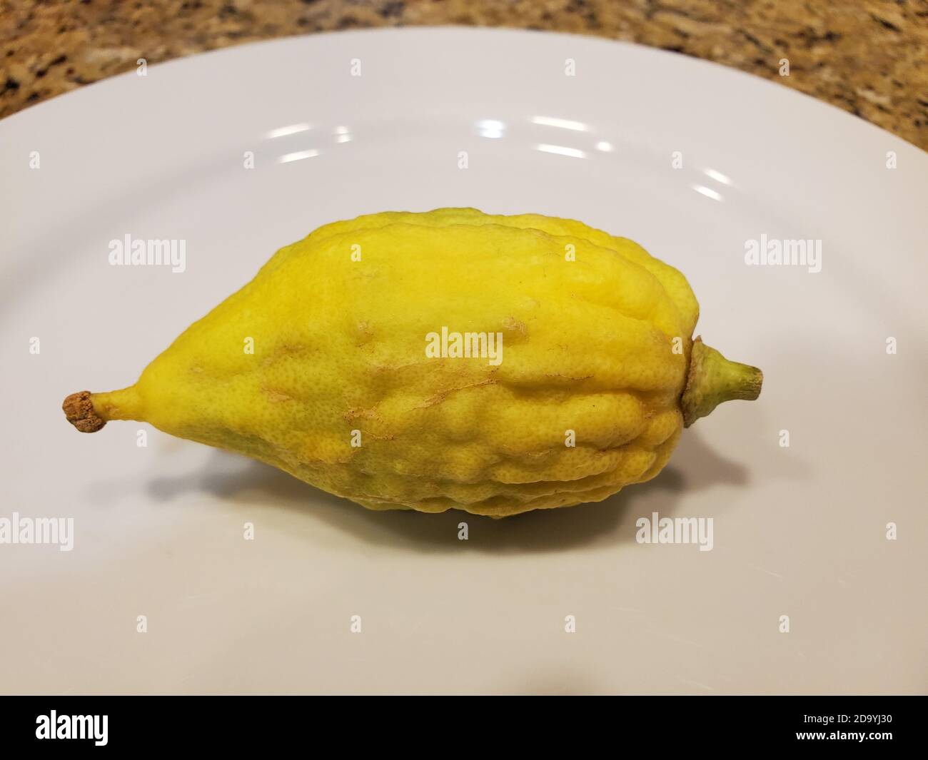 Citron in etrog hi-res stock photography and images - Alamy