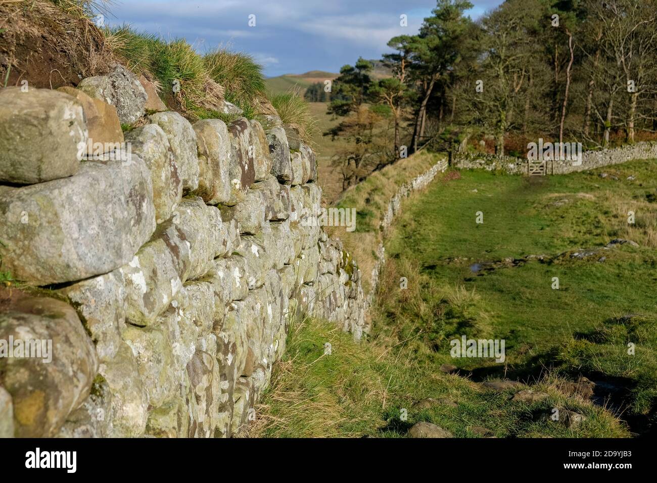 Hadrians Wall, Near Housesteads Roman Fort, Northumberland, UK Stock ...