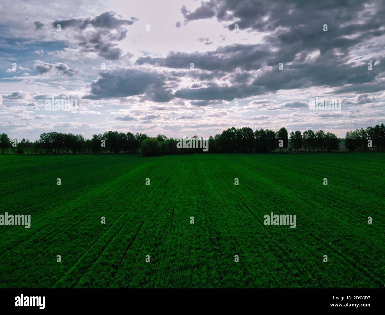 Cloud forest belt hi-res stock photography and images - Alamy