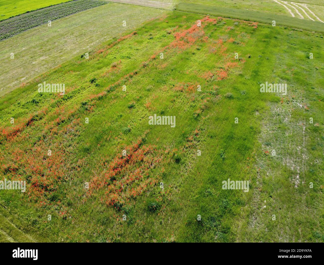 Aerial view farming field red hi-res stock photography and images - Alamy