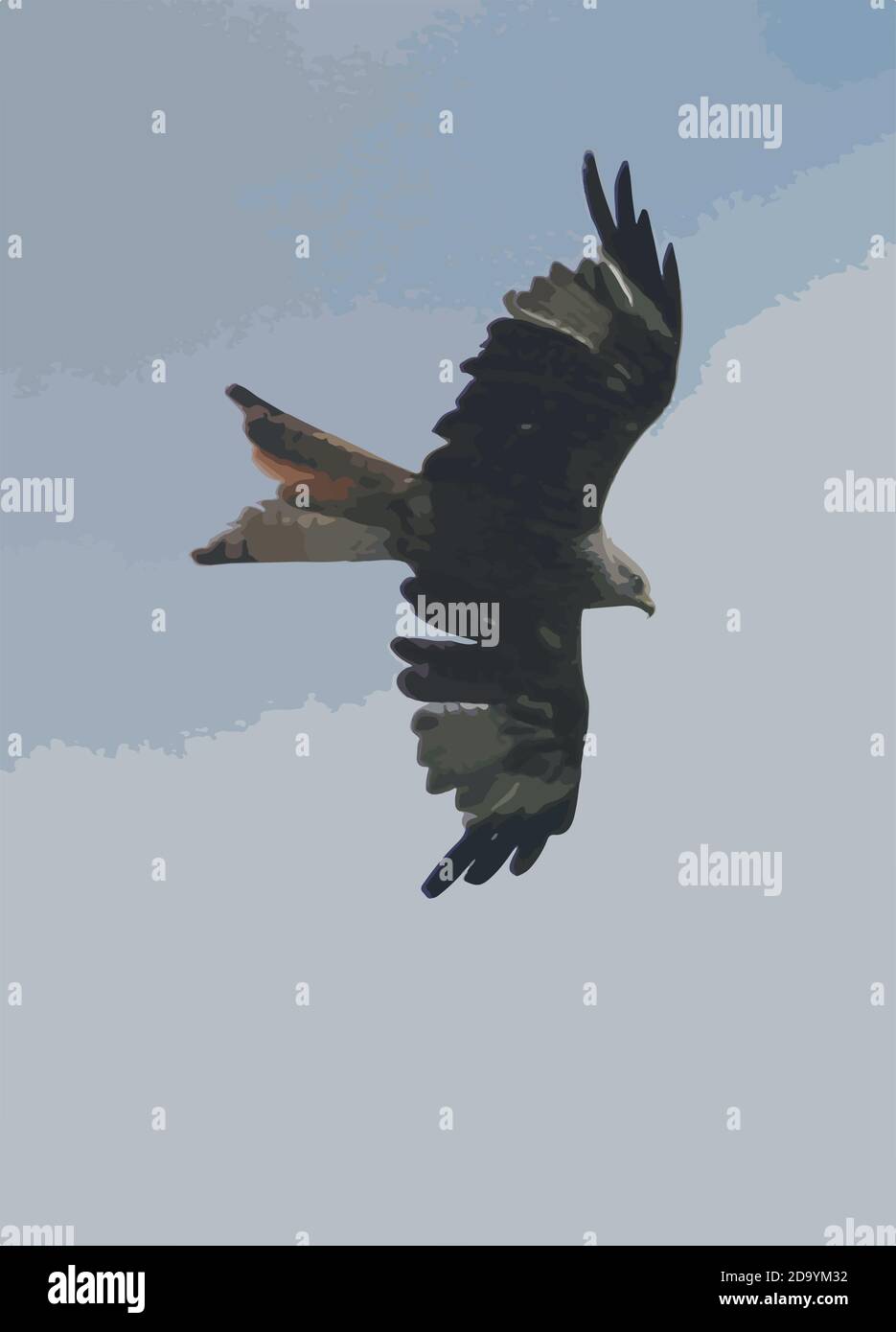 Red kite flight flying bird animal Stock Vector Images - Alamy