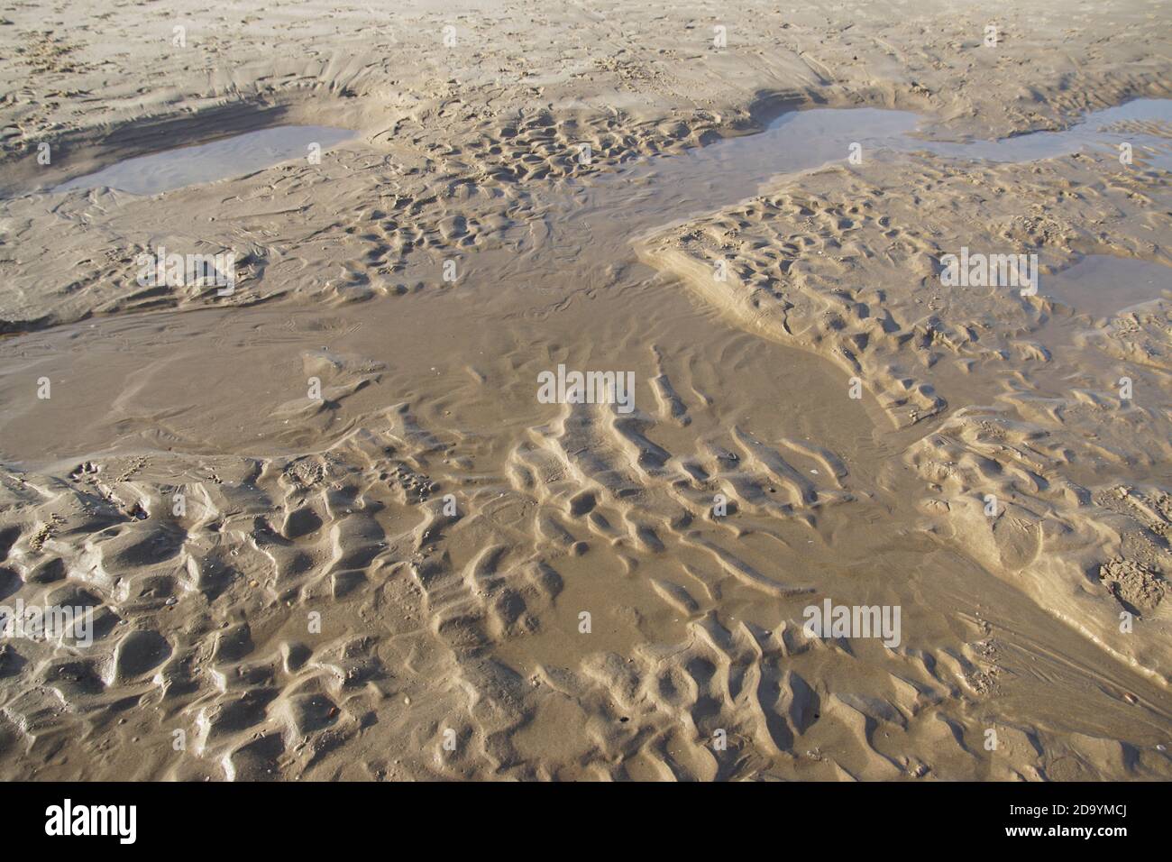 Ridges In Sand High Resolution Stock Photography and Images - Alamy