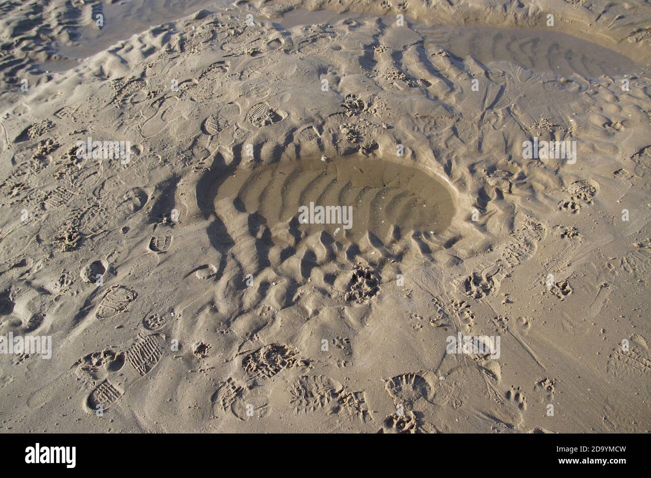 Sand ridges hi-res stock photography and images - Alamy