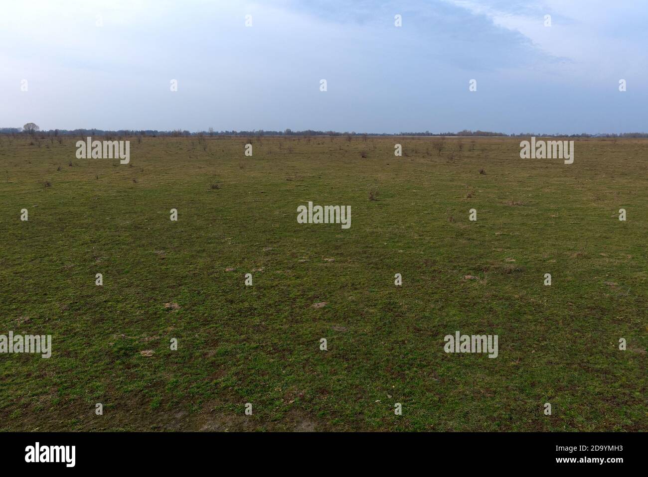 Steppe Grasslands