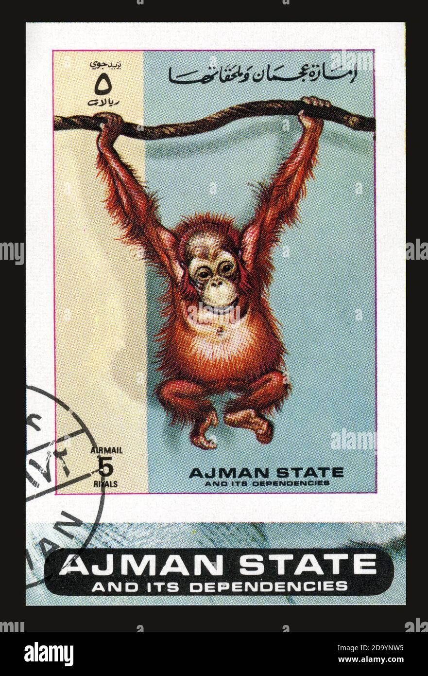 United arab immirates hi-res stock photography and images - Alamy