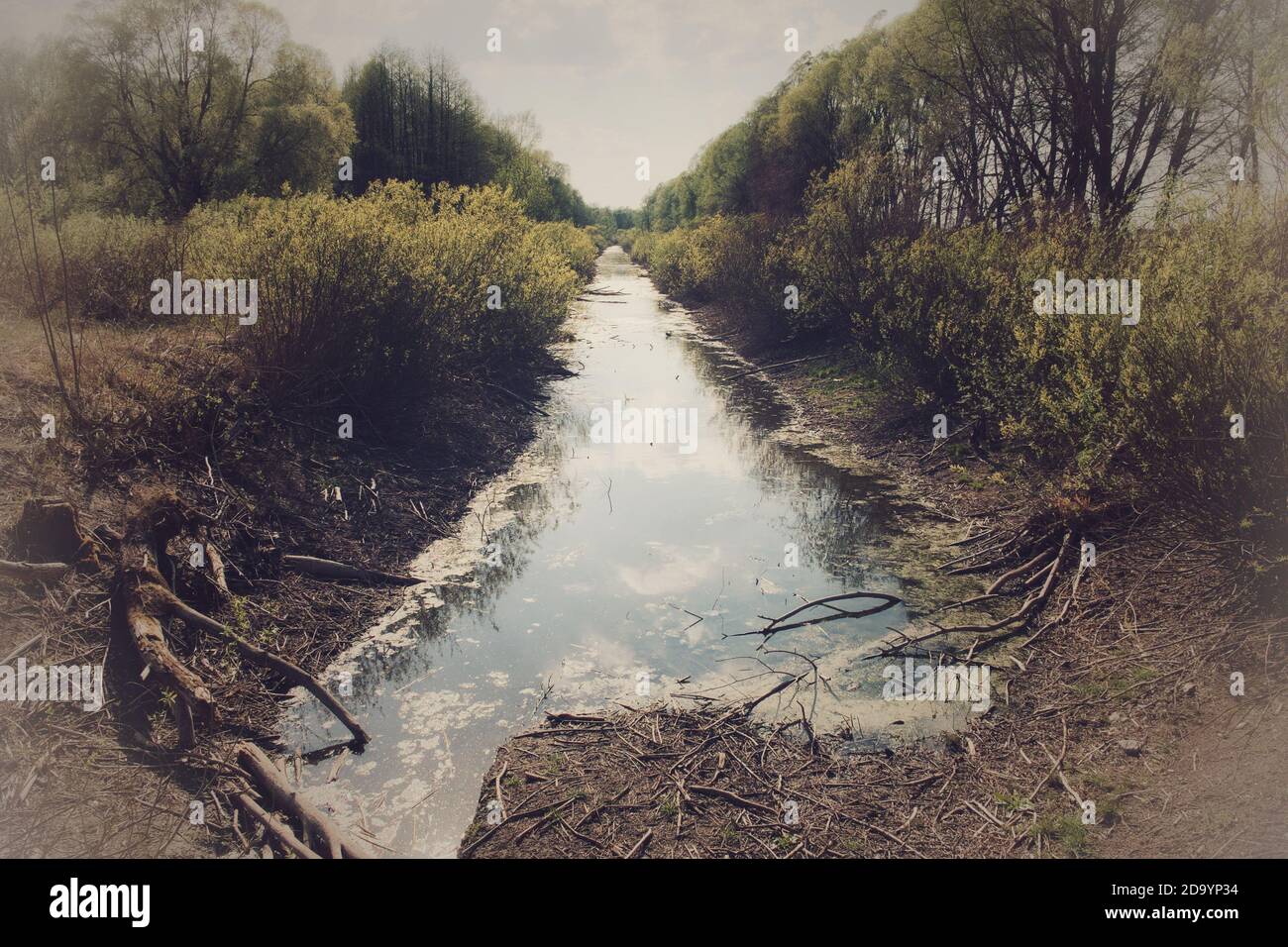 Small shallow river. Vegetation along the banks of the forest river ...