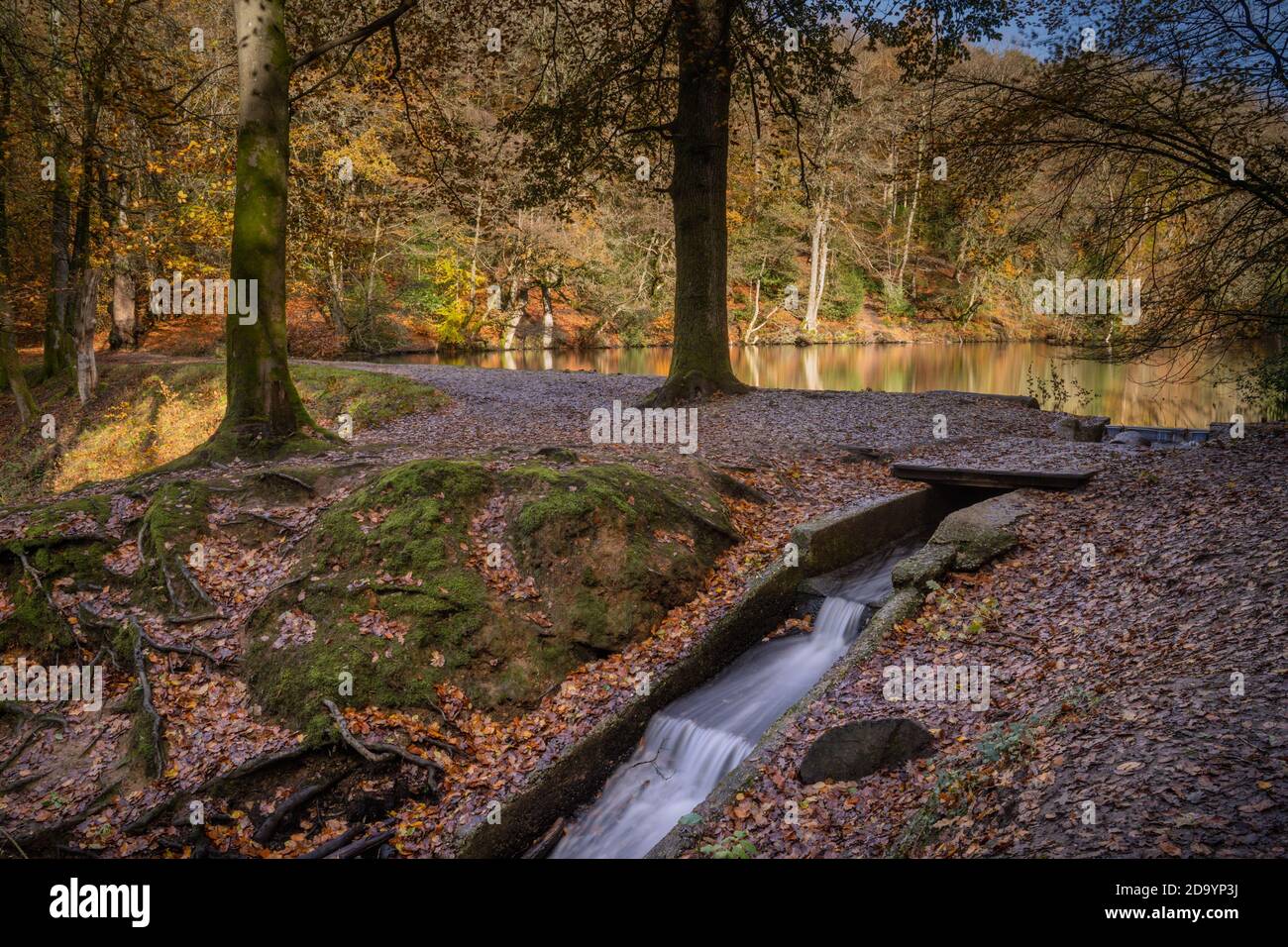 Waggoners Wells with autumnal colours Stock Photo - Alamy