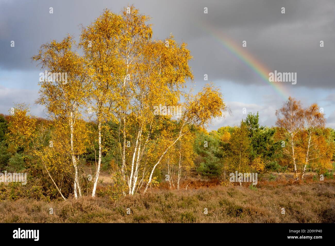 Iping and stedham common hi-res stock photography and images - Alamy